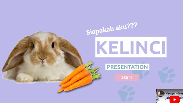 RABBIT PRESENTASION | Genially
