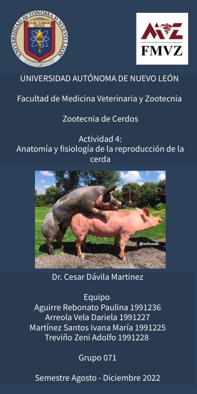 ACT 4. ZooCER | Genially