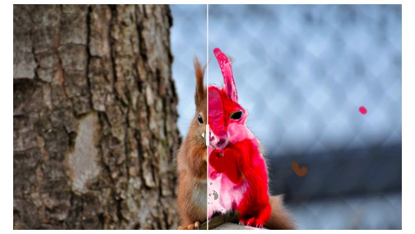 Basic Presentation Genially