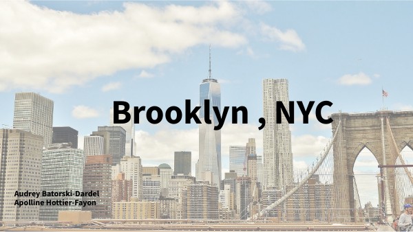 brooklyn nyc