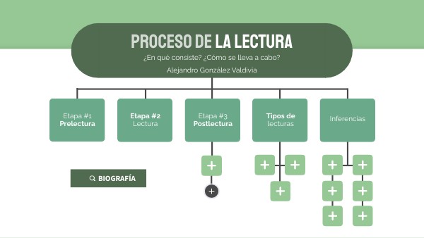 PROCESO DE LECTURA