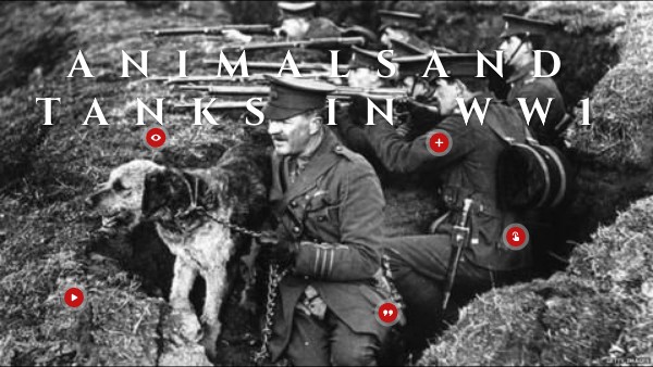 tanks and animals in ww1