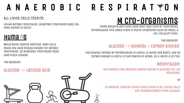 Anaerobic Respiration