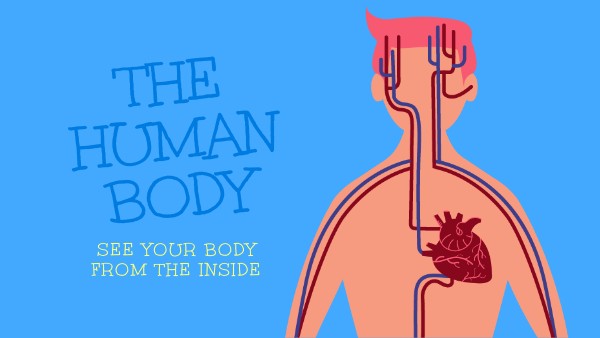 HUMAN BODY PRESENTATION