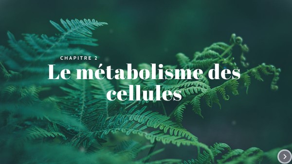 SVT 2nde : Métabolisme | Genially