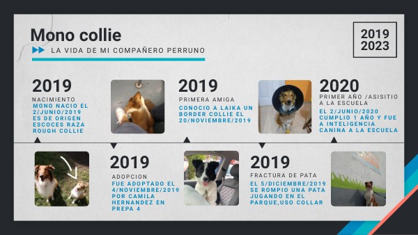 Mono collie | Genially