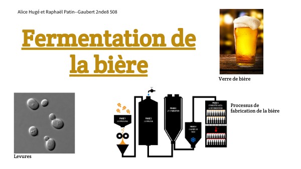 Fermentation de la bière