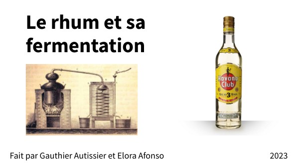 Exposé Fermentation du rhum | Genially