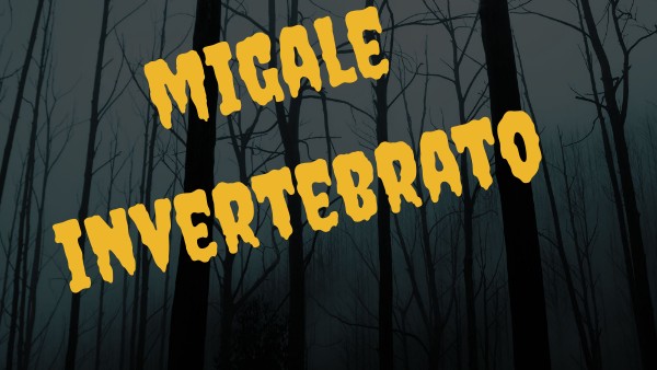 Girard_invertebrato_Migale