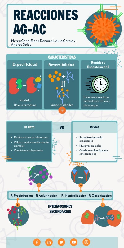 Reacciones AG-AC | Genially