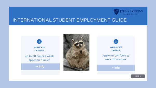International Student Employment Guide
