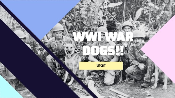 War Dogs