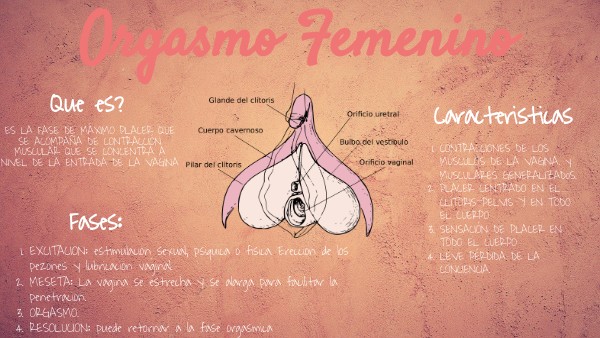 Orgasmo femenino
