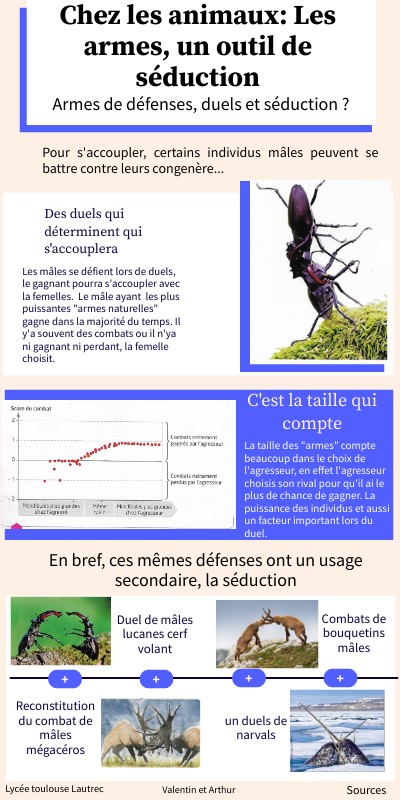 Poster selection sexuel SVT | Genially