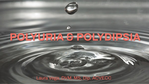 Polyuria and Polydipsia - Vega 2023