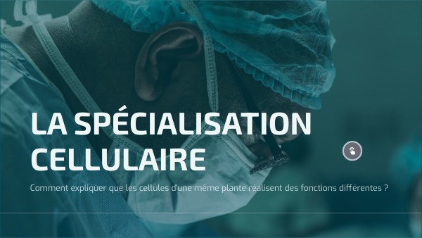 La spécialisation cellulaire en 2nde | Genially