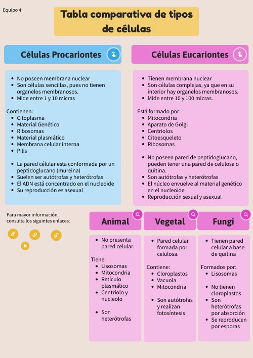 Tabla comparativa de tipos de células | Genially