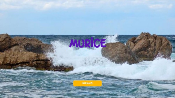 murice