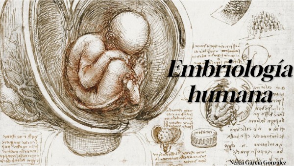 Embriología humana | Genially