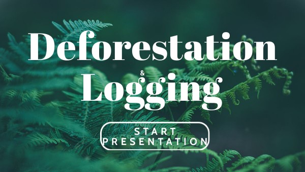 deforestation and logging