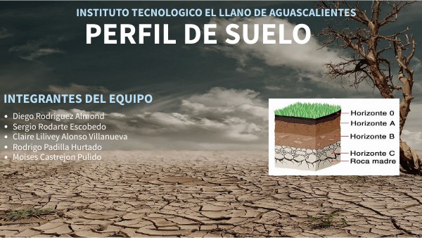 Perfiles de suelos | Genially