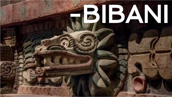 Partido político BIBANI