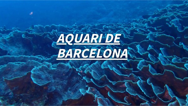 Branching Scenario II | Genially