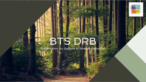 DIAGONAL PROJECT PRESENTATION | Genially