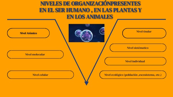 Nivel biologia | Genially