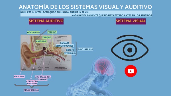 SISTEMA AUDITIVO Y VISUAL