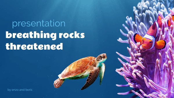 OCEAN PRESENTATION II