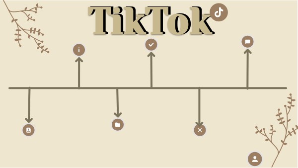 Tiktok Infography Paula Dominguez | Genially