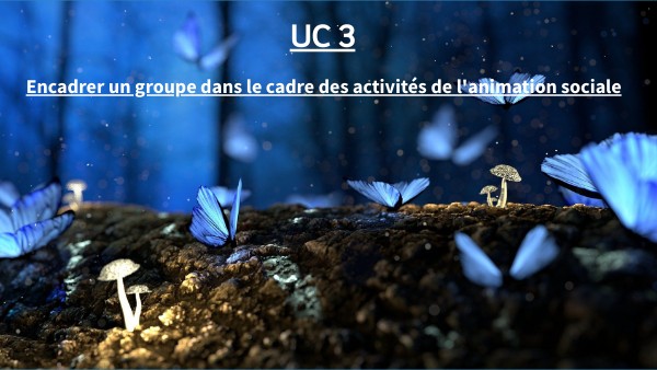 Encadrer un groupe dans le cadre des activités de l'animation sociale ...
