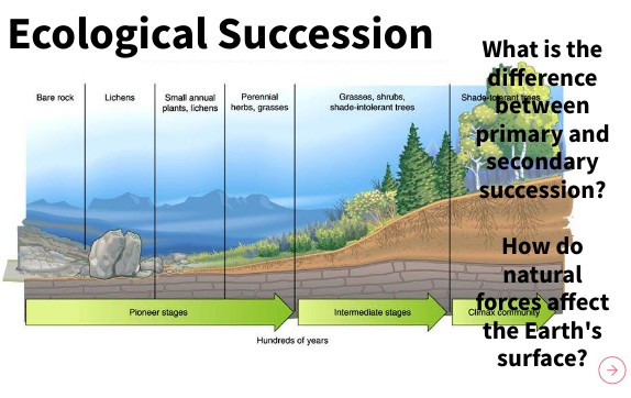Ecological Succession | Genially