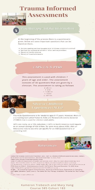 Trauma informed Assessments Vang and Trebesch