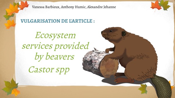 Castors et leur écosystème