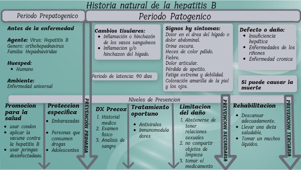 Hepatitis B | Genially