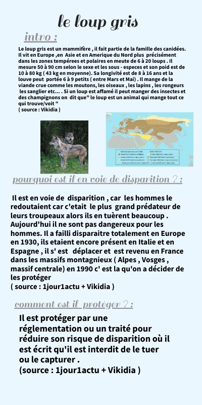 SVT : le loup gris | Genially