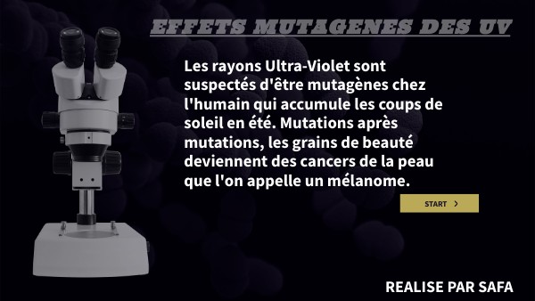 MICROPARTICLES PRESENTATION | Genially