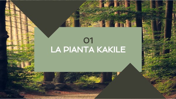 DIAGONAL PROJECT PRESENTATION | Genially