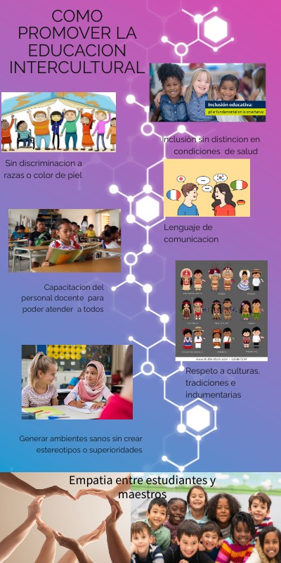 Como promover la educacion intercultural