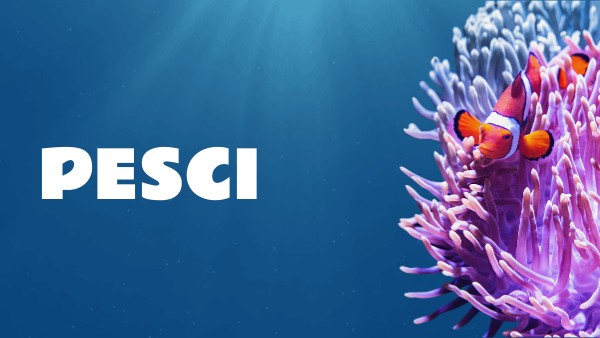 Pesci