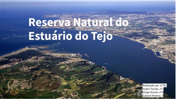 Reserva Natural do Estuário do Tejo