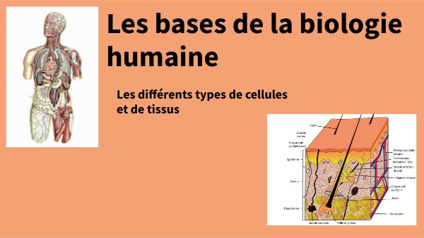 Bases de la biologie humaine