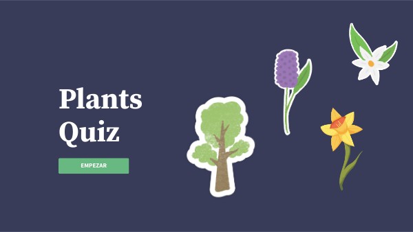 Plants Quiz