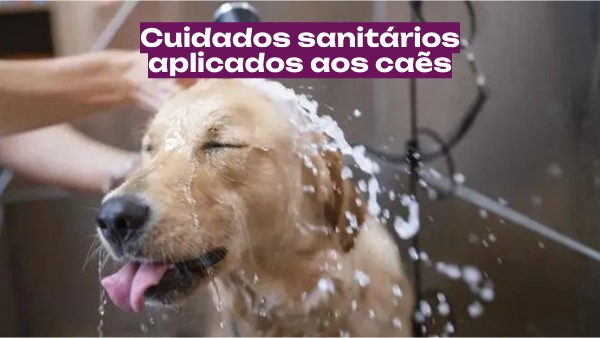 T.C M.1 tema3 cuidados sanitários aplicados aos caẽs