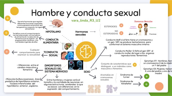 vara_linda_R3_U2 HAMBRE Y CONDUCTA SEXUAL.