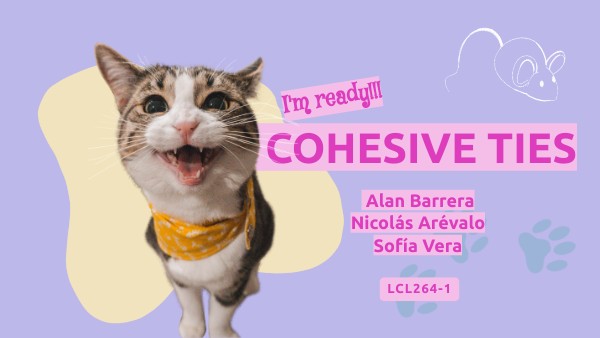 Cohesive Ties - The Adults are Talking