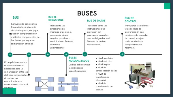 BUSES