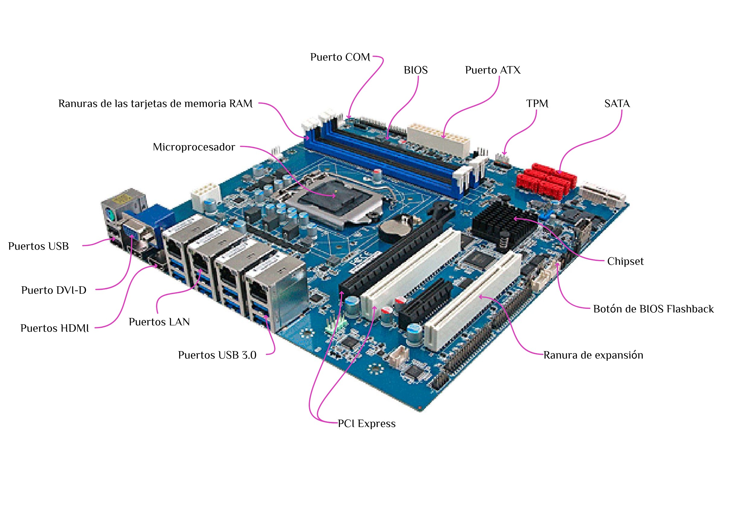 Partes de la Placa Base | Genially